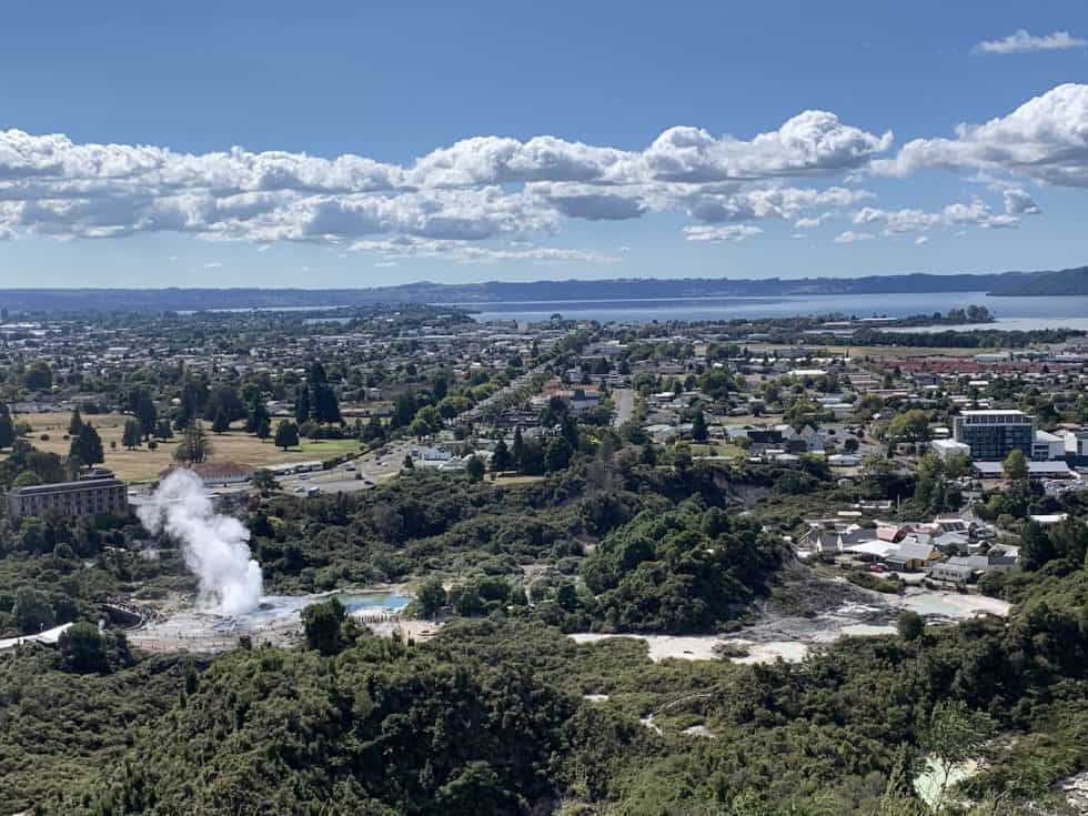 The Best of Rotorua Walks | Pohaturoa Rotorua Redwood Walk