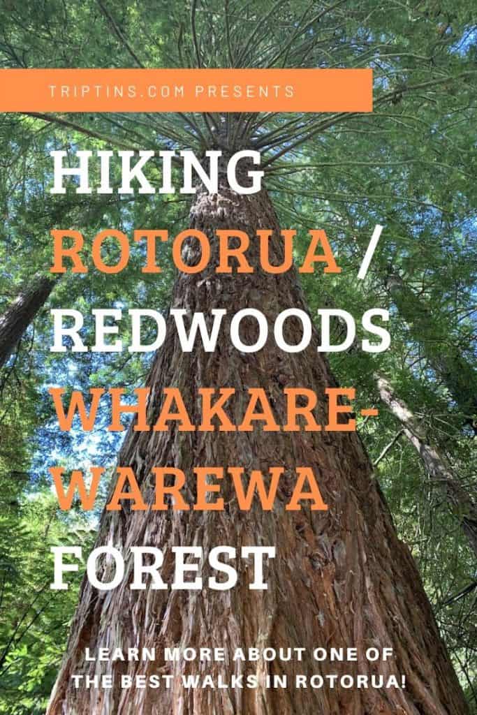 The Best of Rotorua Walks | Pohaturoa Rotorua Redwood Walk