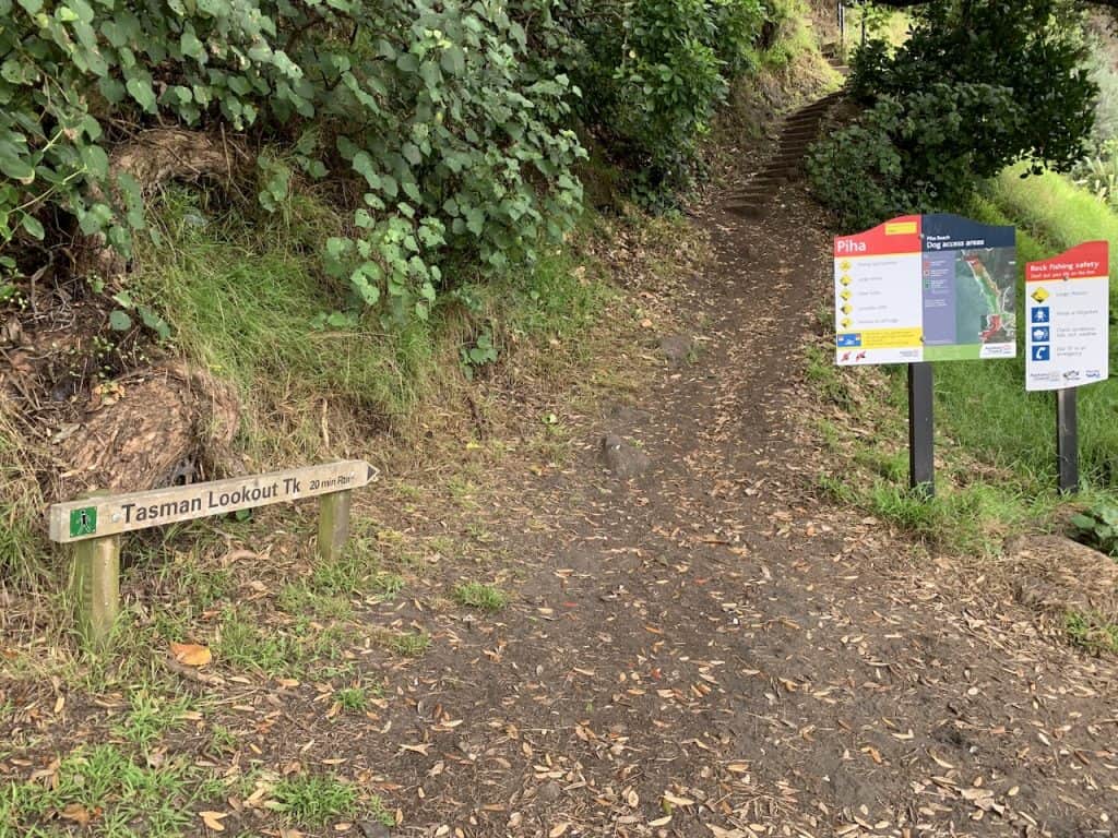 The Tasman Lookout Track | The Best Piha Beach & Lion's Rock Viewpoint