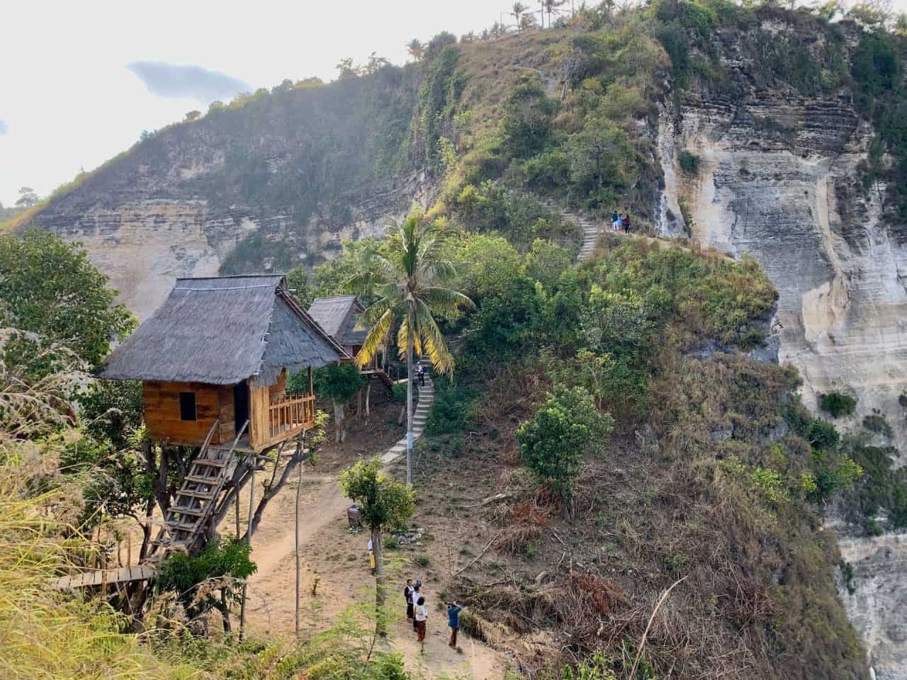 A Complete Guide to the Rumah Pohon Tree House of Nusa Penida
