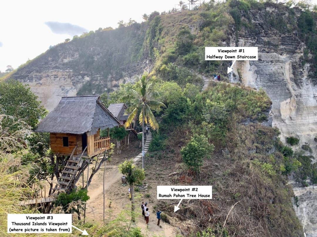 A Complete Guide to the Rumah Pohon Tree House of Nusa Penida