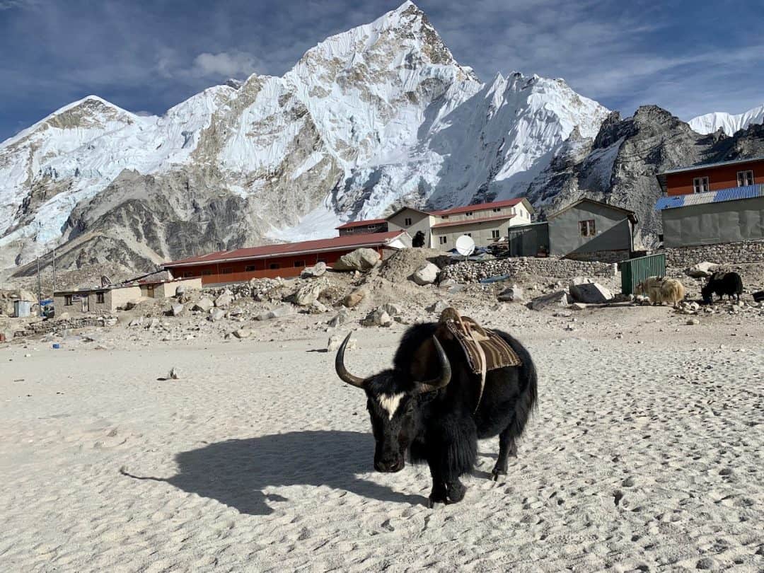 Gorak Shep to Everest Base Camp | Distance, Elevation Gain, & Time