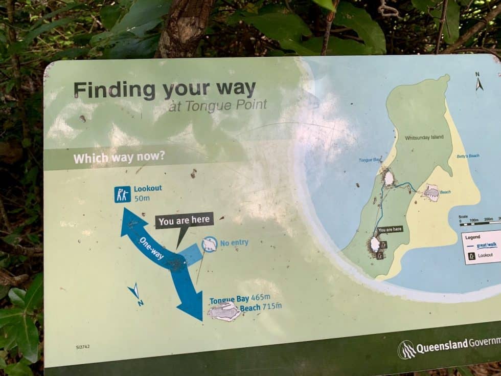 The STUNNING Hill Inlet Lookout | Whitehaven Beach Swirling Sands