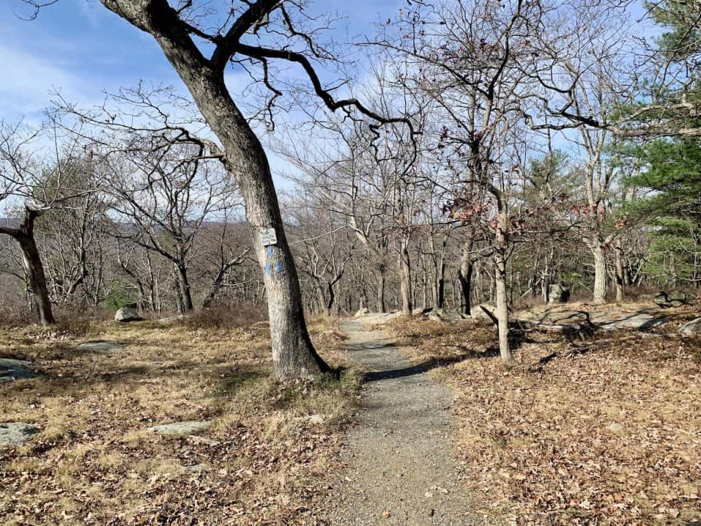 A Bear Mountain Hiking Guide | Major Welch & Appalachian Loop Trail