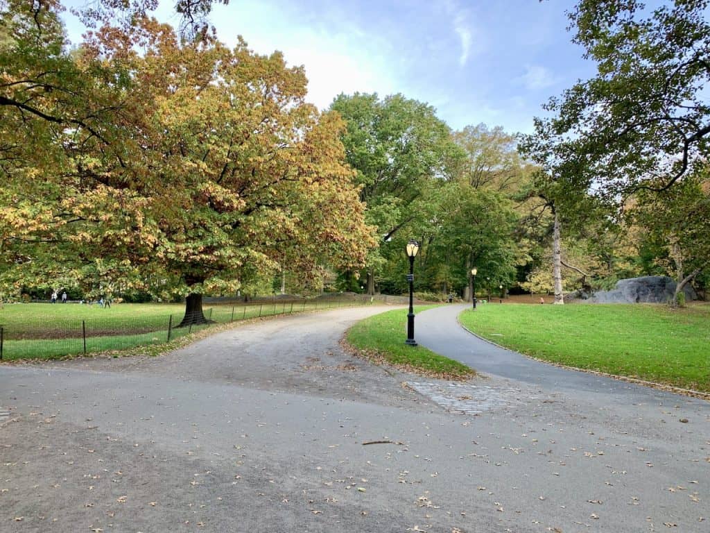 How to Walk & Run the Central Park Bridle Path (Map, Details & Guide)