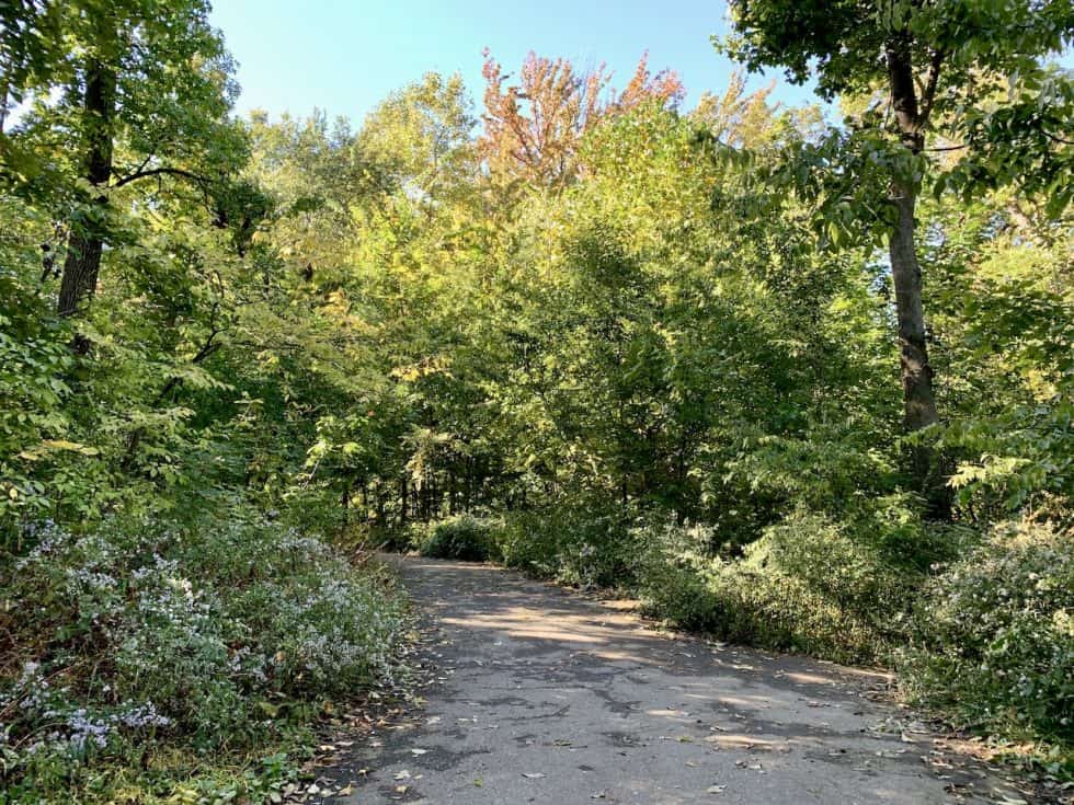 Hiking the Top Central Park Trails (The Loch, Ravine & North Woods)