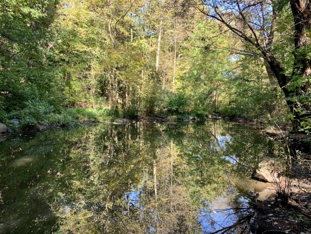 Hiking the Top Central Park Trails (The Loch, Ravine & North Woods)