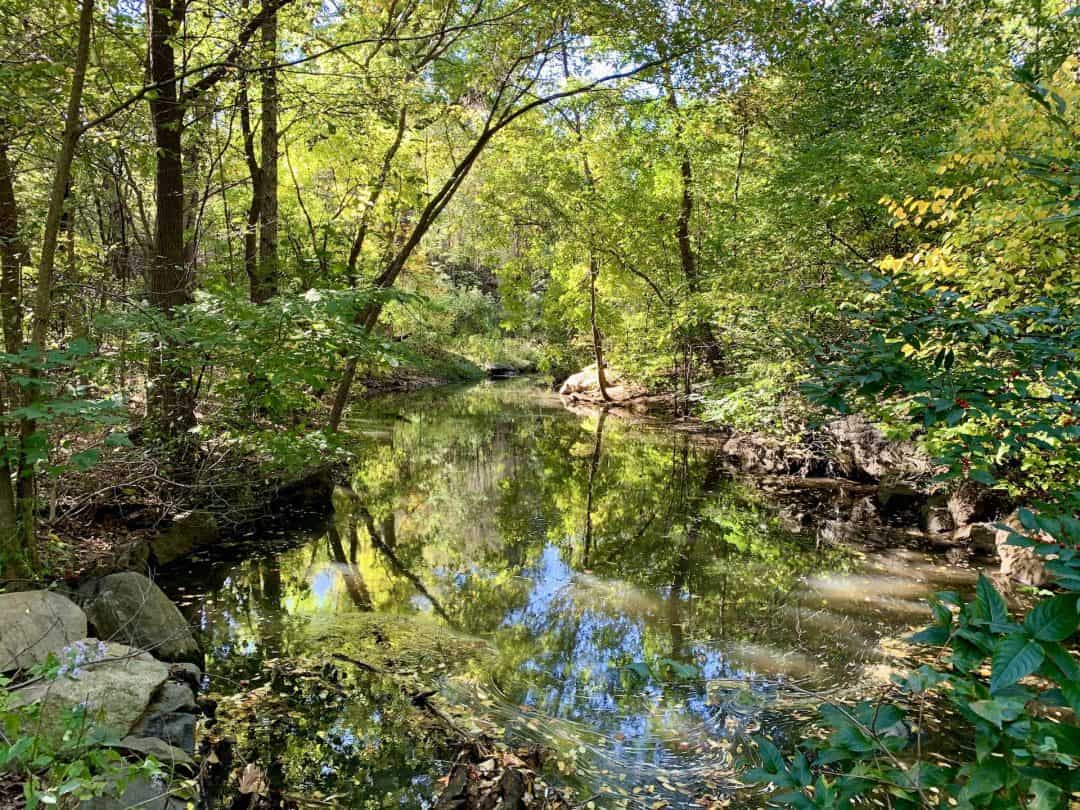 Hiking the Top Central Park Trails (The Loch, Ravine & North Woods)
