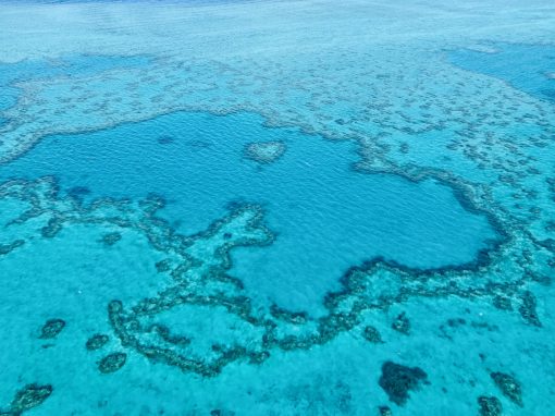 Great Barrier Reef Scenic Flight Guide | How to Fly the Great Barrier Reef