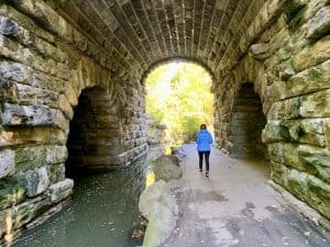 Hiking the Top Central Park Trails (The Loch, Ravine & North Woods)