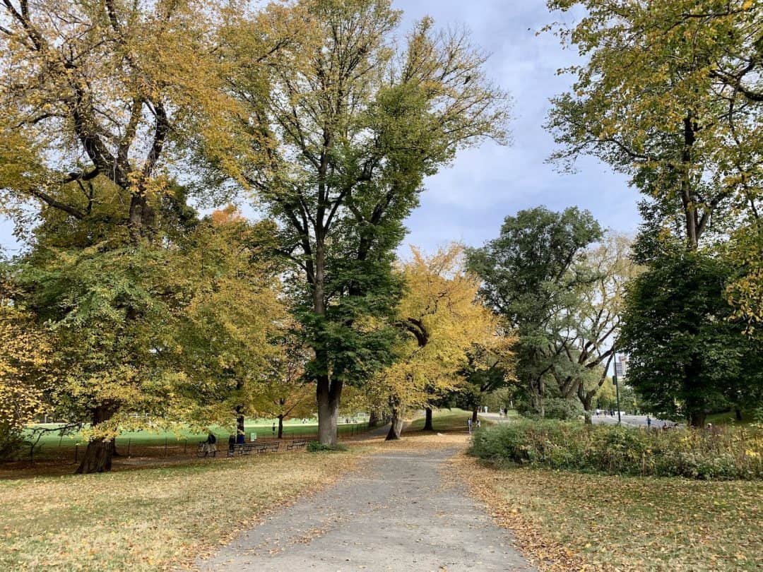How to Walk & Run the Central Park Bridle Path | Map, Details & Guide