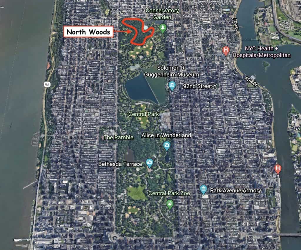 Hiking the Top Central Park Trails (The Loch, Ravine & North Woods)