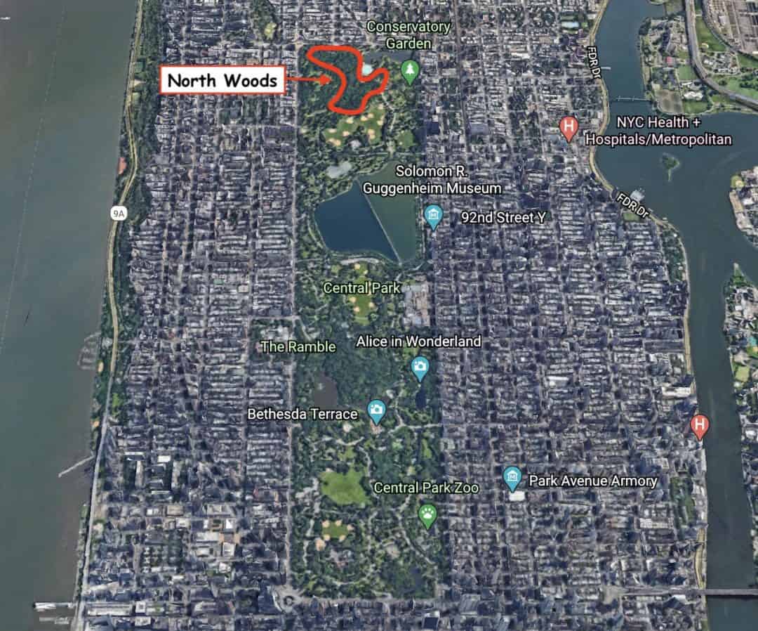 Hiking the Top Central Park Trails (The Loch, Ravine & North Woods)