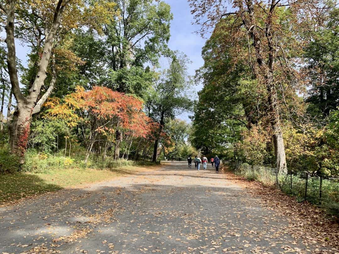 How to Walk & Run the Central Park Bridle Path | Map, Details & Guide