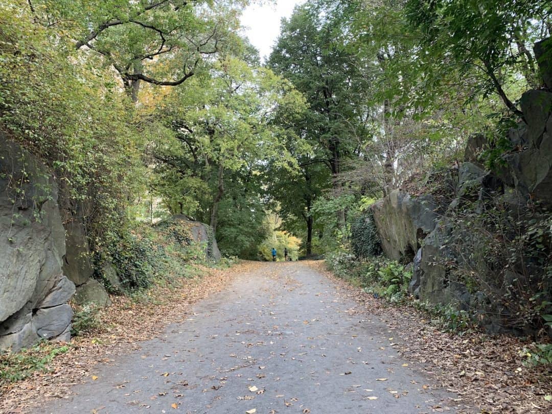 How to Walk & Run the Central Park Bridle Path (Map, Details & Guide)