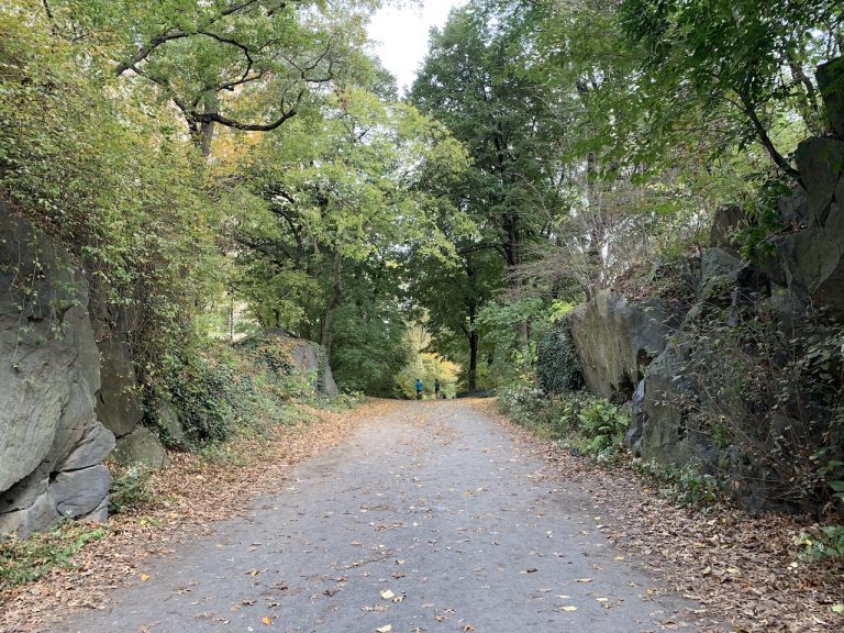 How to Walk & Run the Central Park Bridle Path (Map, Details & Guide)