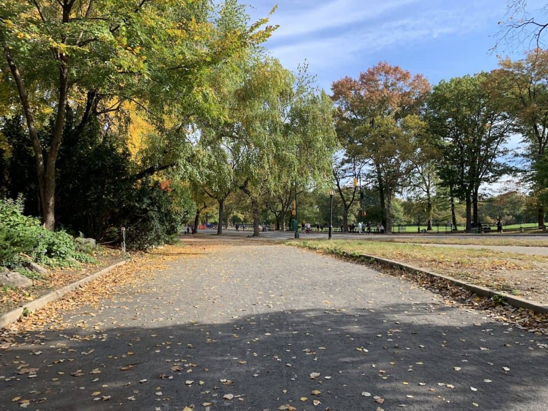 How to Walk & Run the Central Park Bridle Path (Map, Details & Guide)