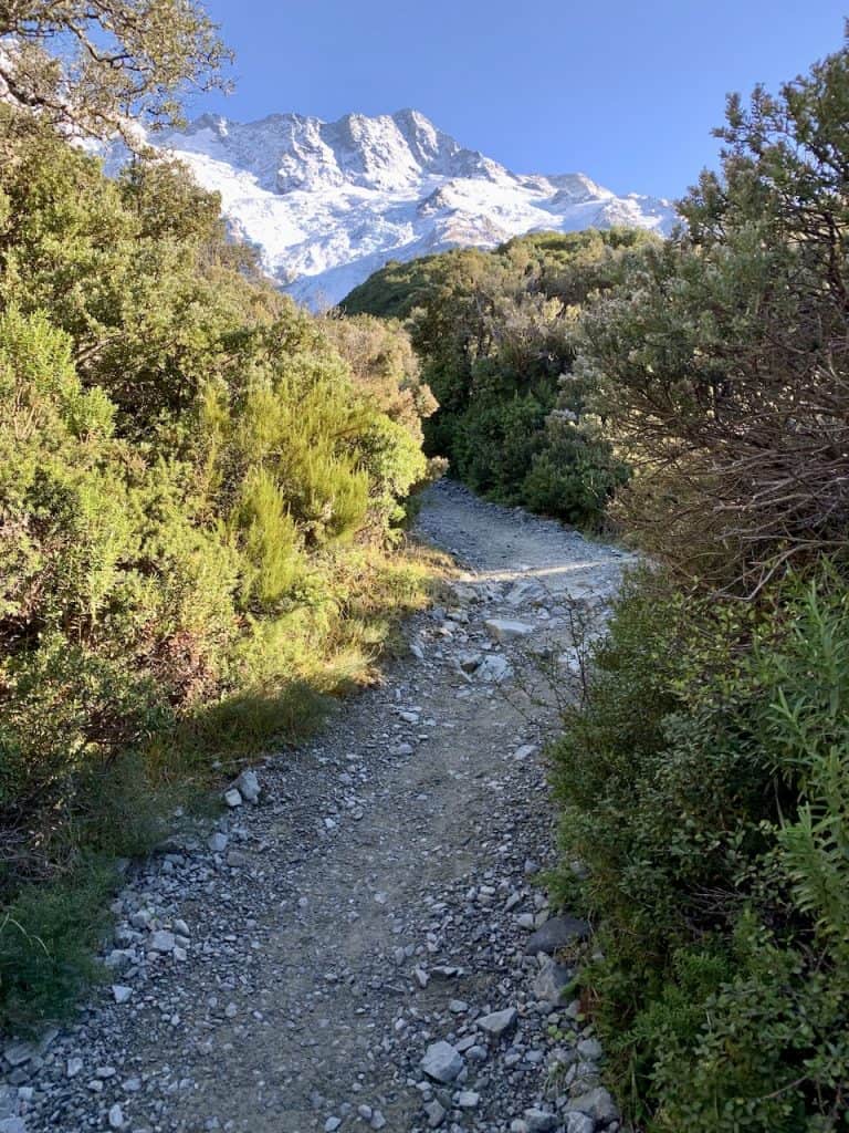 A Sealy Tarns Track Hiking Guide of Mount Cook National Park + MAP
