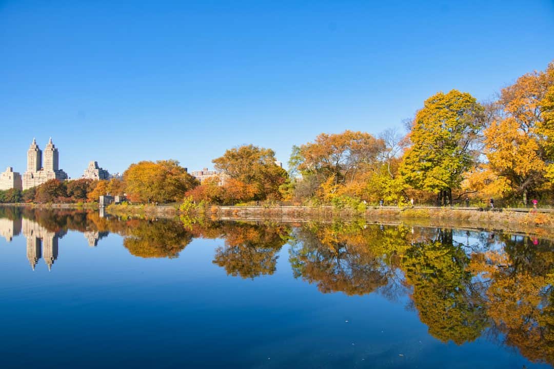 A Helpful Guide to the Central Park Reservoir Loop Running Path
