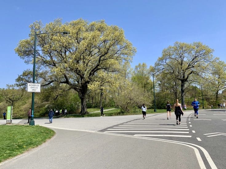 A Complete Guide to Running in Central Park | Jogging Routes, Map, Tips