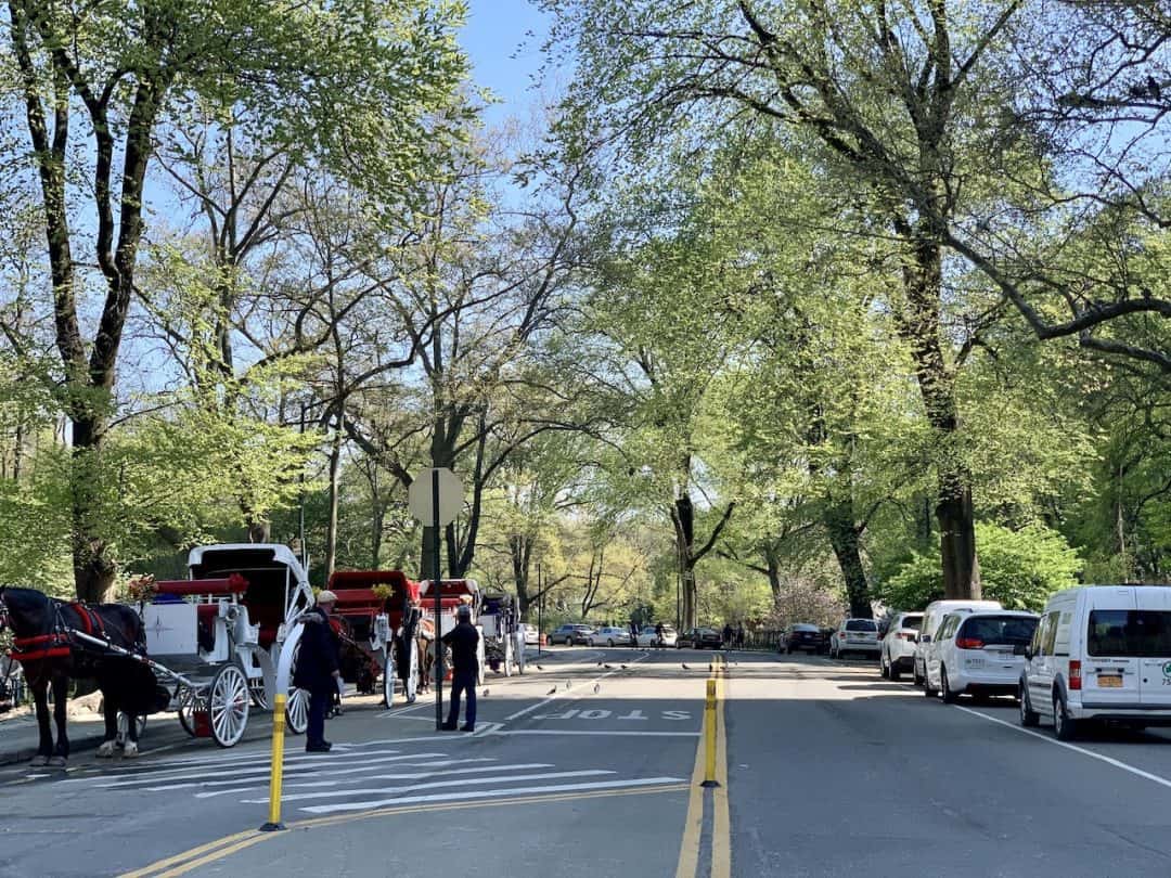 A Self-Guided Walking Tour Central Park by a Local (Map & Itinerary)