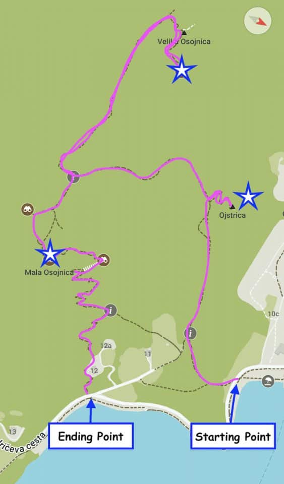 Hiking Ojstrica & Osojnica Lake Bled Viewpoints | Map, Routes, & Tips