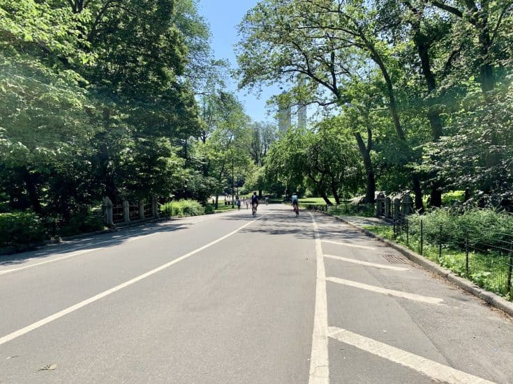 Central Park 3 Mile Loop Running & Walking Path | Lower Loop Guide
