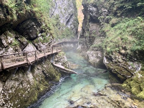 A Complete Vintgar Gorge Slovenia Guide | Trail, Hiking Map, & Tips