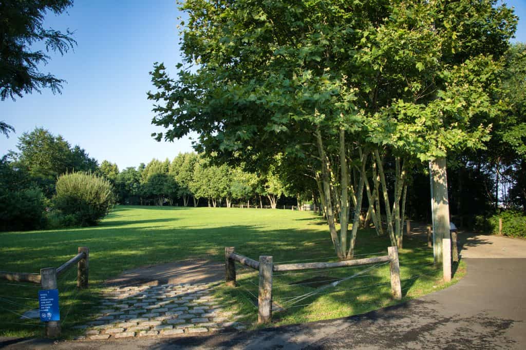 Brooklyn Bridge Park Complete Guide | Map, Piers, Activities & More