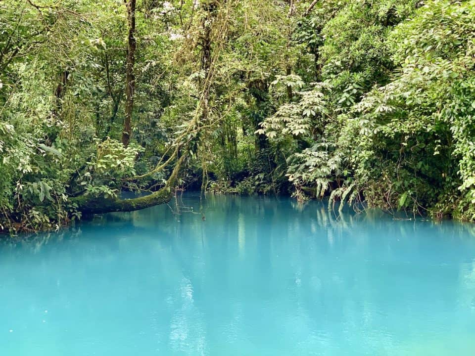 Visiting Rio Celeste Waterfall of Costa Rica | Hike, Map & Tips | TripTins