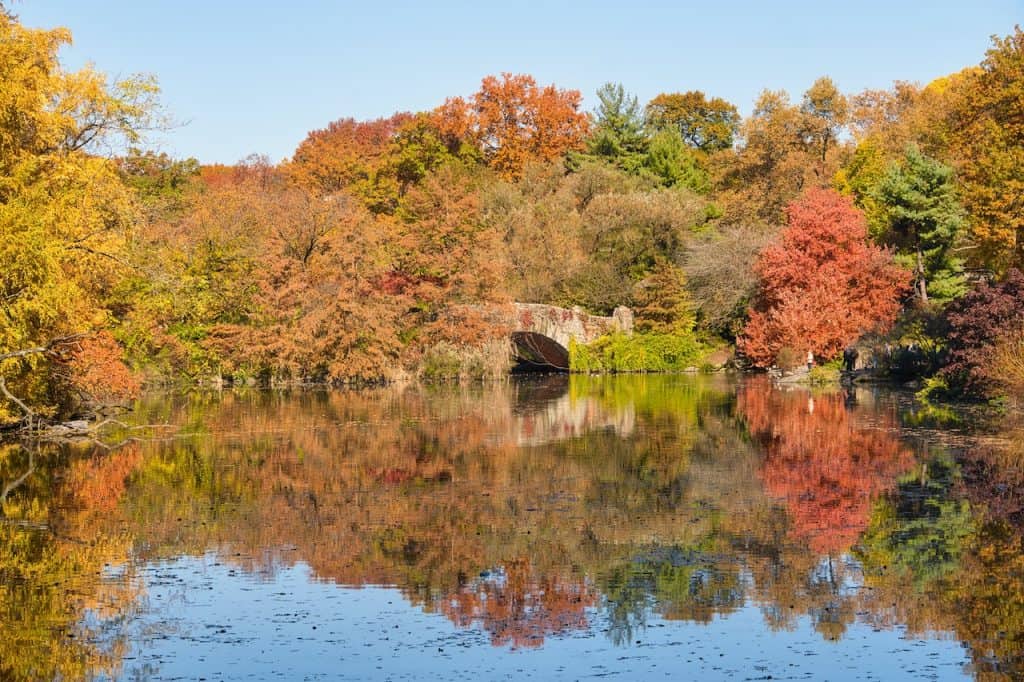 Central Park Fall Foliage Guide | 2023 Best Locations & Foliage Map