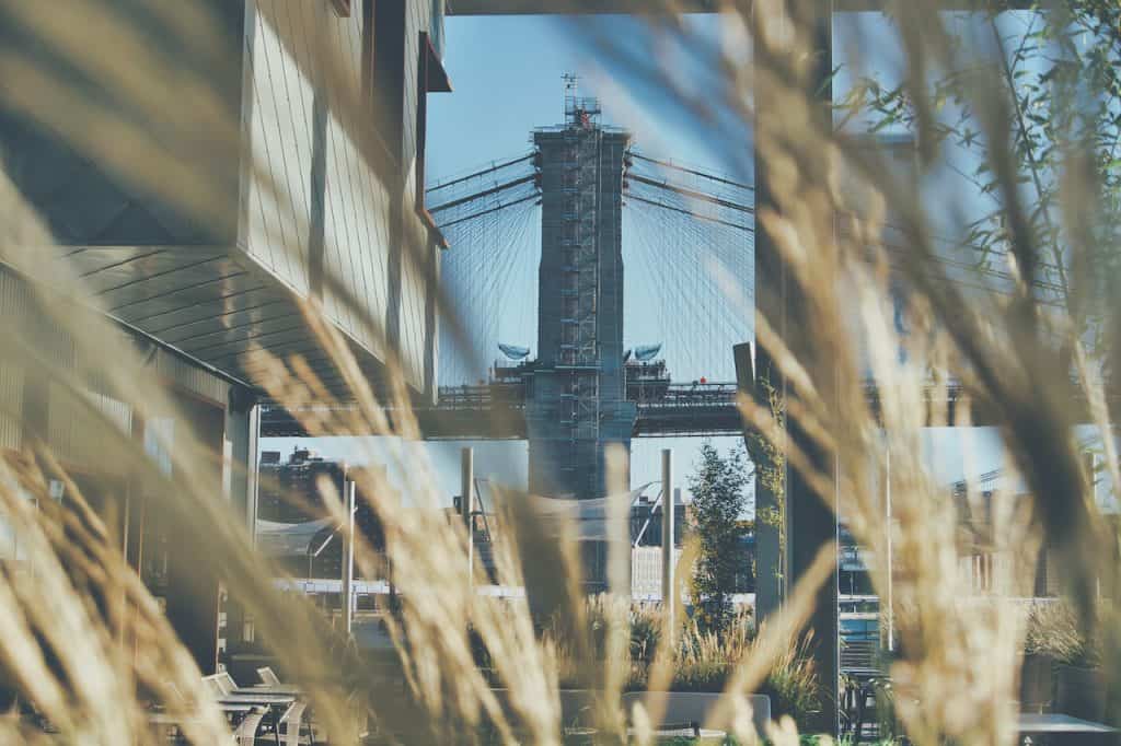 Where to Find the BEST Views of the Brooklyn Bridge (by a Local!)