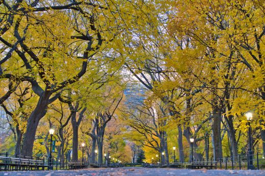 The 18 Main Central Park Entrances to Know About (w/ Map) | TripTins