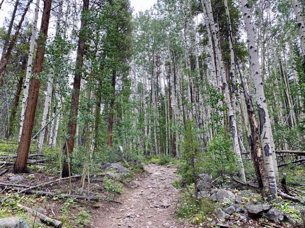 Hiking the Mount Yale Trail of Colorado – Helpful Guide & Map | TripTins