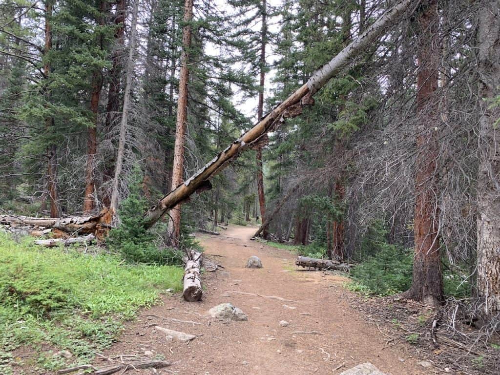 Hiking the Mount Yale Trail of Colorado – Helpful Guide & Map | TripTins
