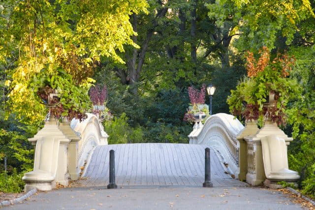 The 20 Best Views of Central Park | Where to Find the Top Spots | TripTins