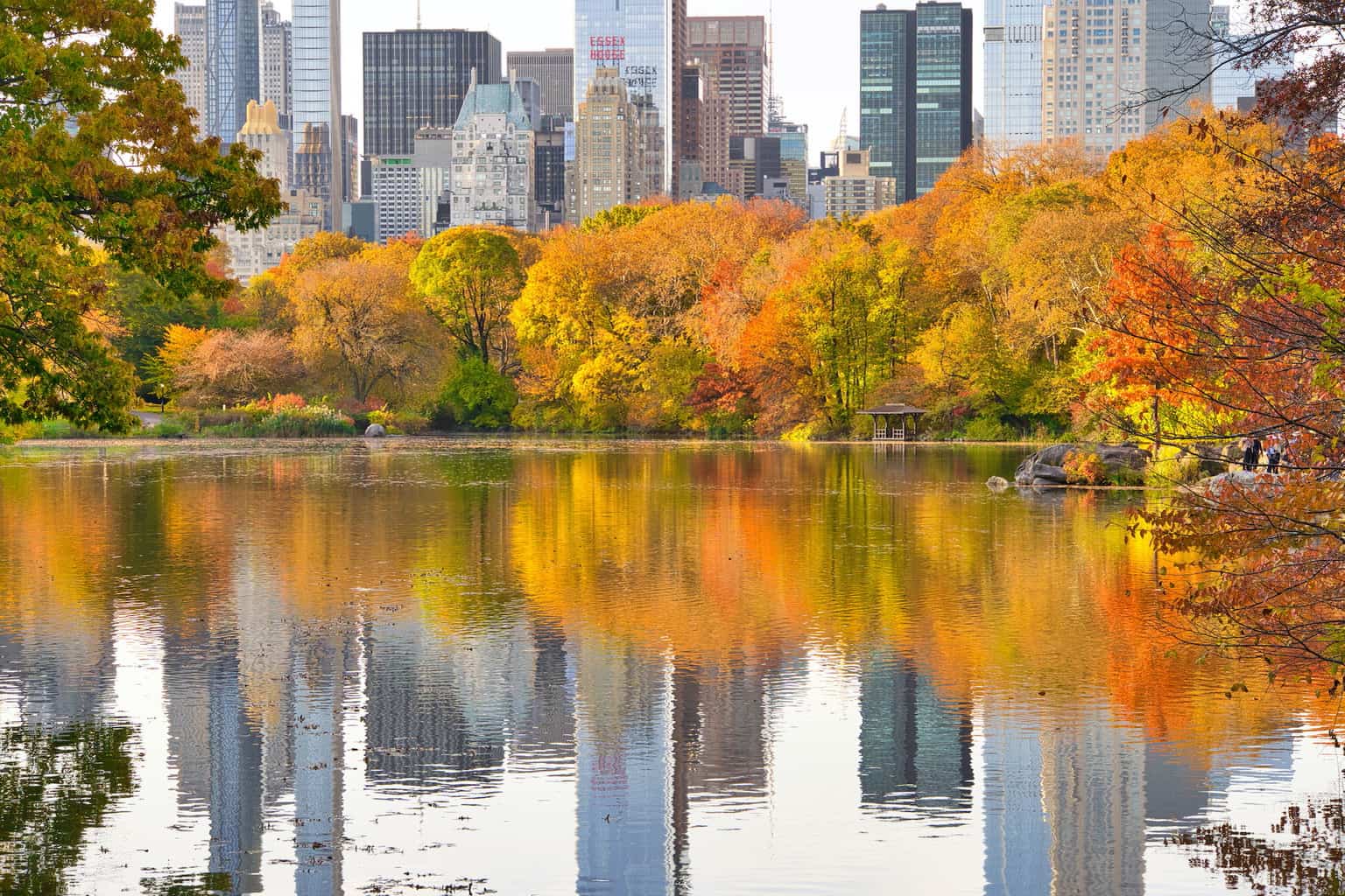 Central Park Fall Foliage Guide Best Locations Foliage Map TripTins Central Park Fall Foliage Guide Best Locations Foliage Map TripTins