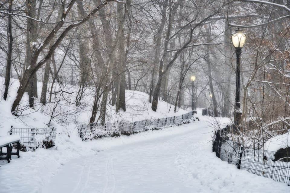 Central Park in Winter Guide | The Best Central Park Snow Day Spots