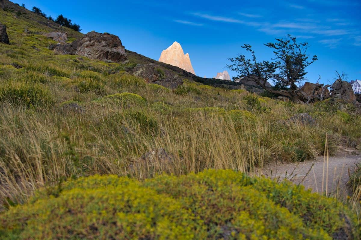 A Laguna de Los Tres & Fitz Roy Hike Guide (Sendero al Fitz Roy)