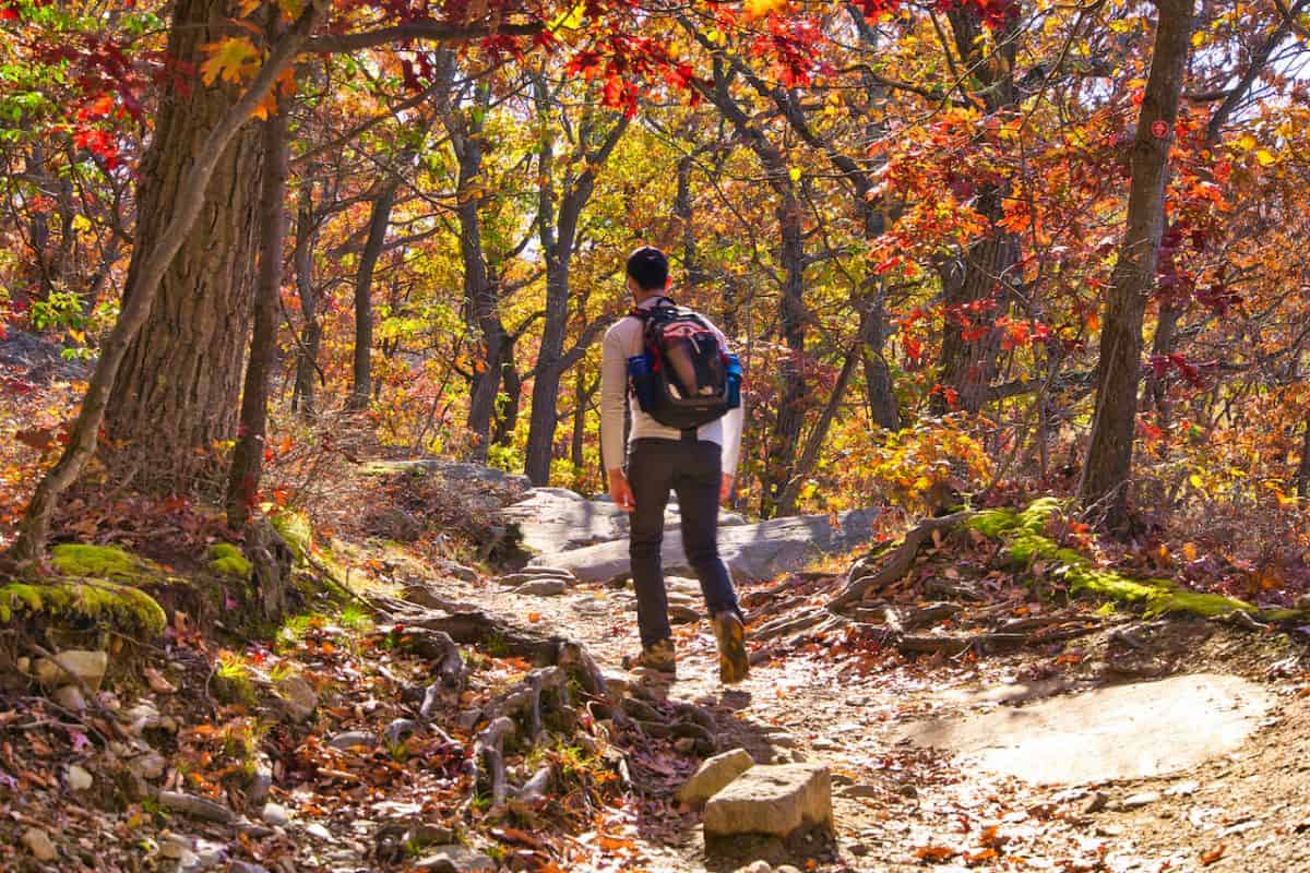 Hiking the Mt Beacon Trail of the Hudson Valley | Fire Tower Hike