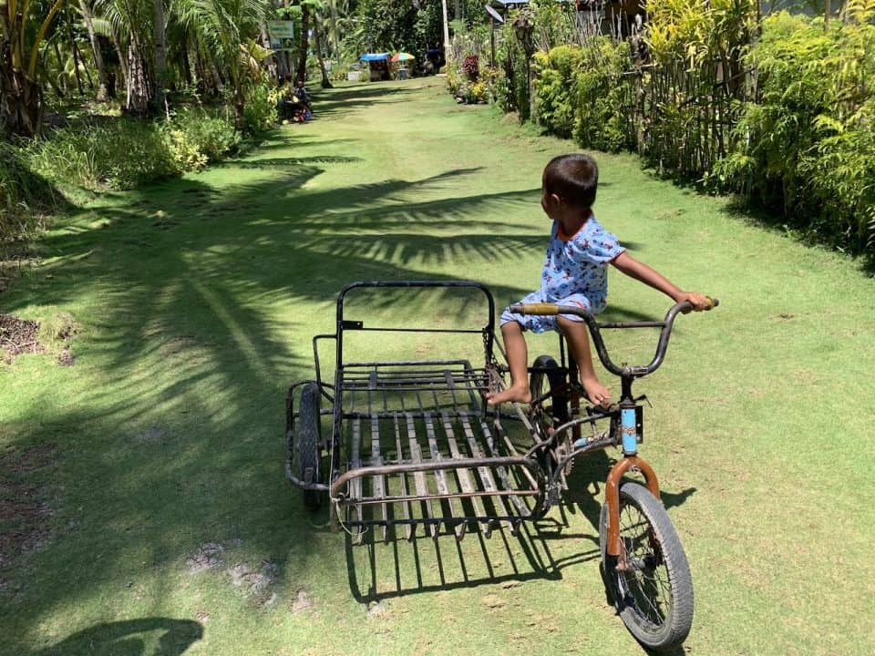 80+ Funny Travel Quotes to Make You Smile & Laugh | TripTins