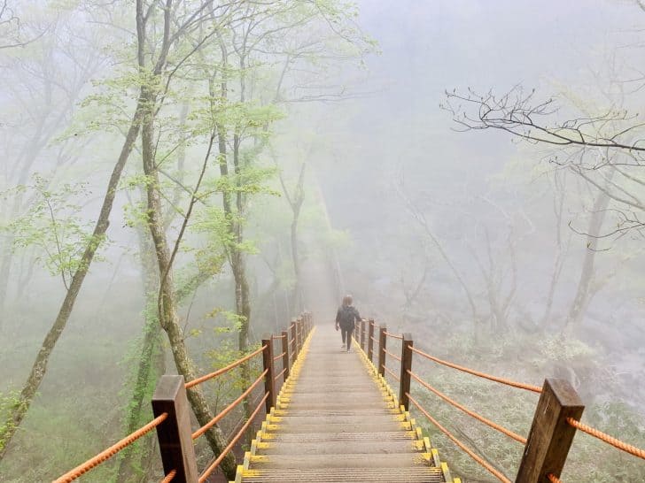 80+ Funny Travel Quotes to Make You Smile & Laugh | TripTins