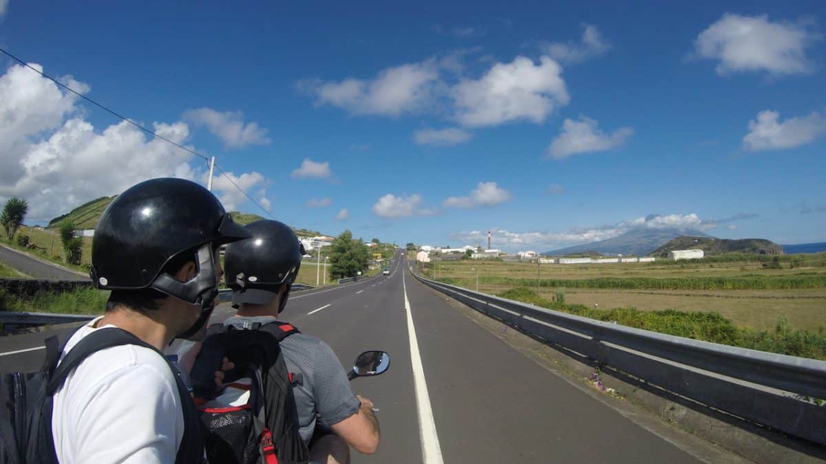 80+ Funny Travel Quotes to Make You Smile & Laugh | TripTins