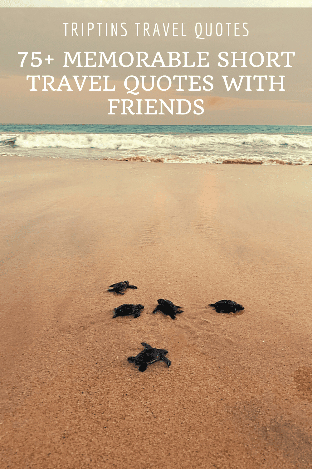 Beach And Friends Quotes Beach And Friends Quotes