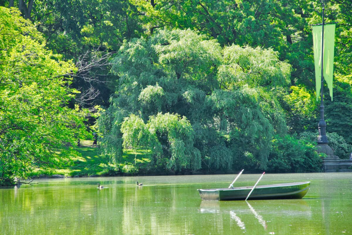 20 Best Central Park Photo Spots | Instagram Photography & Map