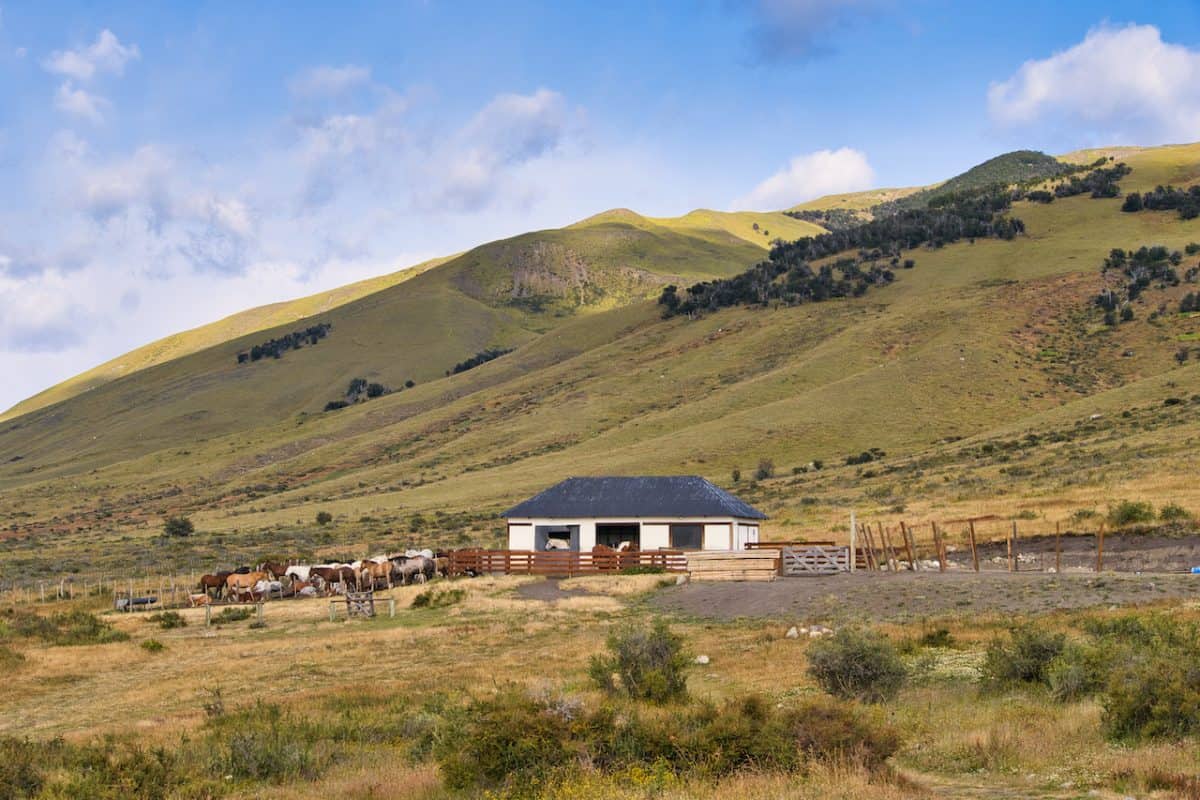 Visiting Cerro Frias of El Calafate | 4 x 4, Horse Riding, Zipline & Hike