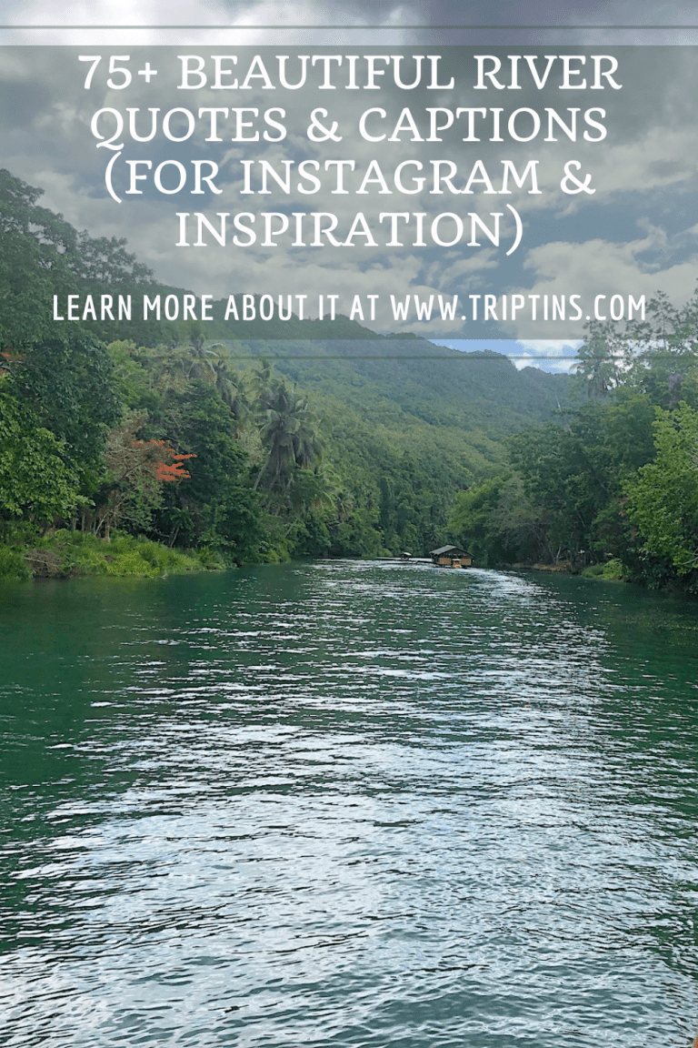75+ Beautiful River Quotes & Captions (for Instagram & Inspiration)