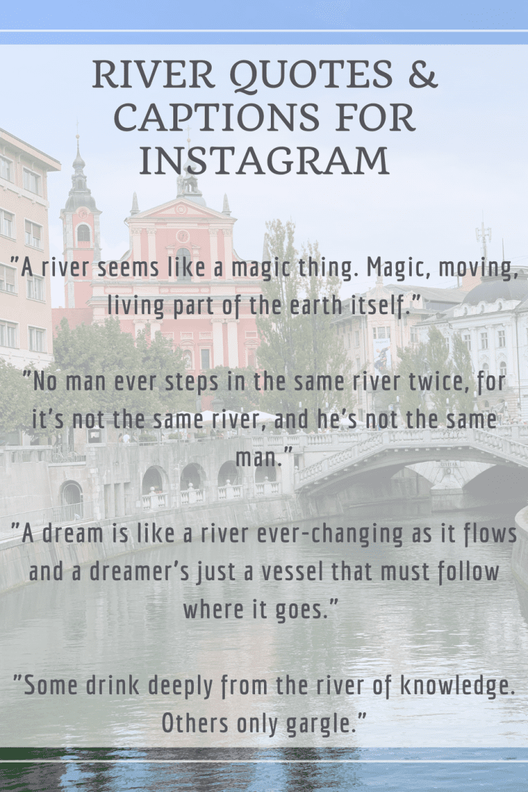 75+ Beautiful River Quotes & Captions (for Instagram & Inspiration)