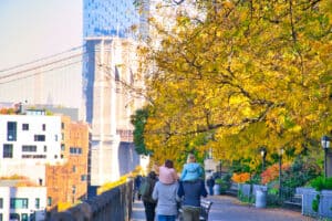 Brooklyn Heights Promenade Complete Guide | Map, Photos & More