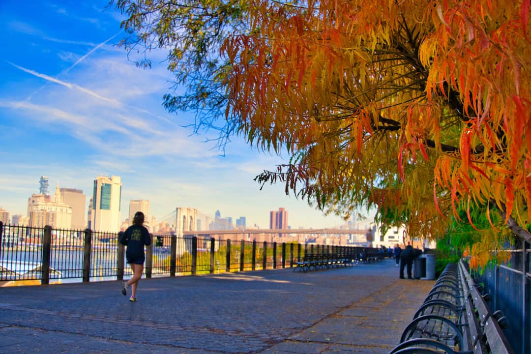 Brooklyn Heights Promenade Complete Guide | Map, Photos & More